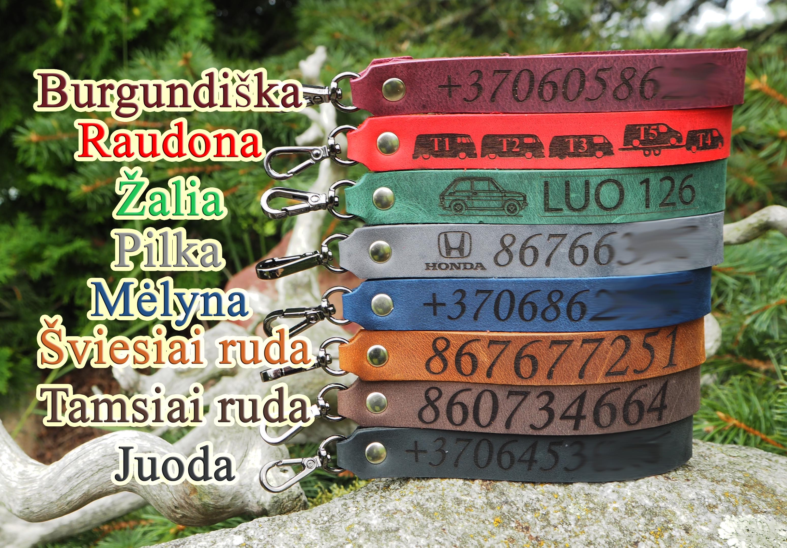 Spalvos - Individualūs odos gaminių užsakymai - www.papuosksave.lt